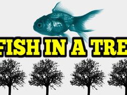 Fish In A Tree Novel Study Full Unit | Teaching Resources
