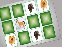 Matching Pairs | Teaching Resources