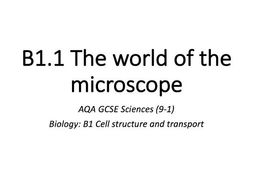 B1.1 The world of the microscope by Lagoondry | Teaching Resources
