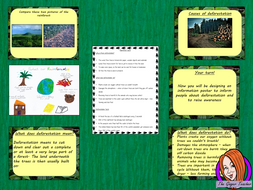 Rainforest Deforestation - Complete STEAM Lesson | Teaching Resources