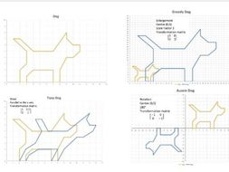 Matrix Transformations Dog | Teaching Resources