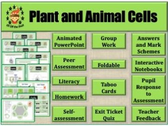 Plant and Animal Cells-Structure, Differences and Specialisation KS3 by ...