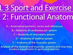 BTEC Level 3 Sport Science - Unit 2 Functional Anatomy | Teaching Resources