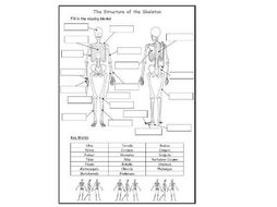 GCSE PE - OCR (9-1) - Blank Skeleton Worksheet (With Answers ...