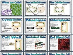 Cells Display Pack | Teaching Resources