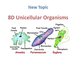 Unicellular Organisms | Teaching Resources