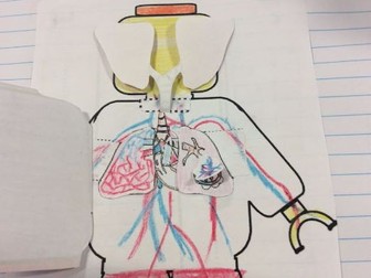 Circulatory & respiratory System - Interactive notebook foldables for ...