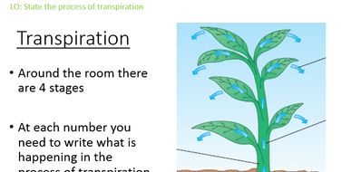 B4.9 Factors affecting transpiration AQA | Teaching Resources