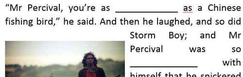 Storm Boy: Cloze Reading activity worksheet | Teaching Resources