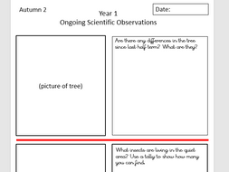 Long Term Observing over time templates - whole school | Teaching Resources