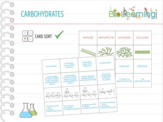 Carbohydrates - 4x Games & Activities Bundle (KS5) | Teaching Resources