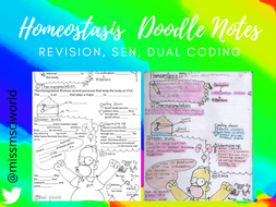Homeostasis Science Doodle Notes | Teaching Resources