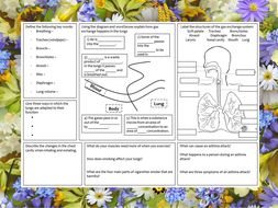 KS3 Gas exchange revision mat | Teaching Resources