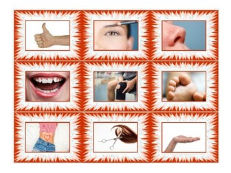 Body Parts 6 Spanish Photo Game Bundle | Teaching Resources