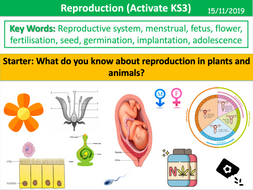 Reproduction (Activate KS3) | Teaching Resources