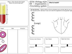 Circulatory system revision sheet - AQA GCSE Biology | Teaching Resources