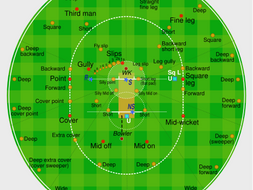 PE Dept - Cricket Fielding Positions Cards / Posters | Teaching Resources