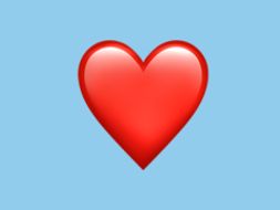 Differentiated note-taking sheets on the heart and circulatory system ...