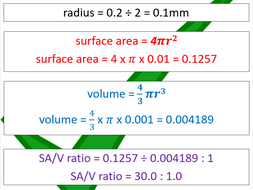 Surface area to volume ratio (AQA A-level Biology) | Teaching Resources