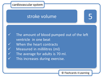 GCSE PE: Cardiovascular System - Bundle Pack | Teaching Resources