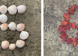 0-20 Pics created with natural objects | Teaching Resources