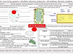 GCSE Biology B1 - Cell Levels System revision | Teaching Resources