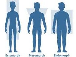 Somatotypes | Teaching Resources