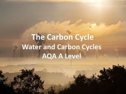 The Carbon Cycle (1) - AQA A Level Geography | Teaching Resources