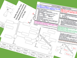 Organic Chemistry bundle | Teaching Resources