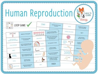 Human Reproduction - 13x Activities and Games (KS3/4) | Teaching Resources