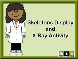 Skeletons Display and X-ray Activity by Gdwaters1 - Teaching Resources ...