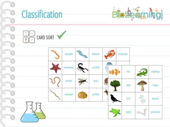 Classification - 10x Games and activities | Teaching Resources