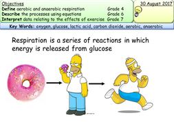 New AQA GCSE trilogy/biology- respiration | Teaching Resources
